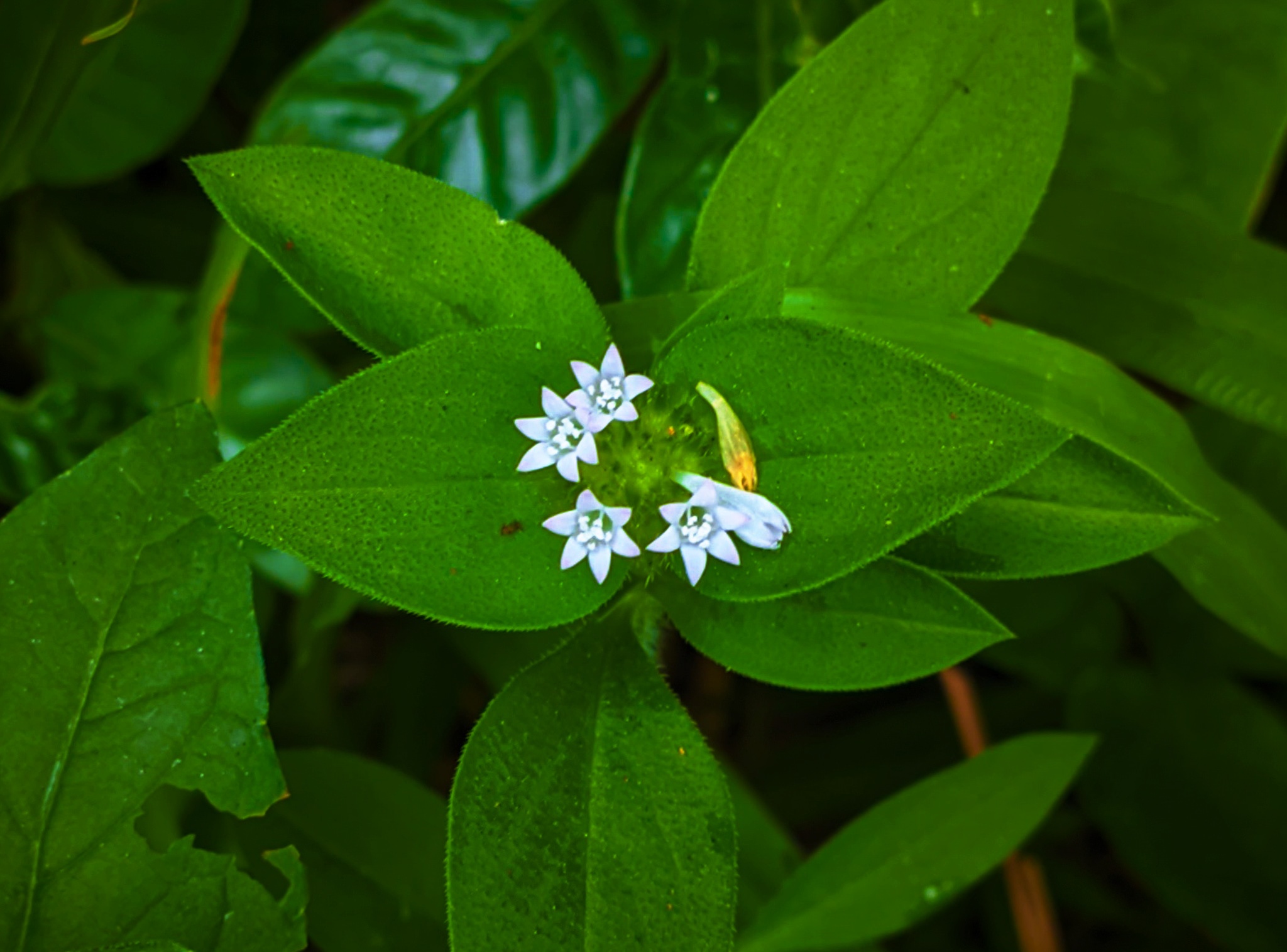 Home [hmphotographs.github.io]